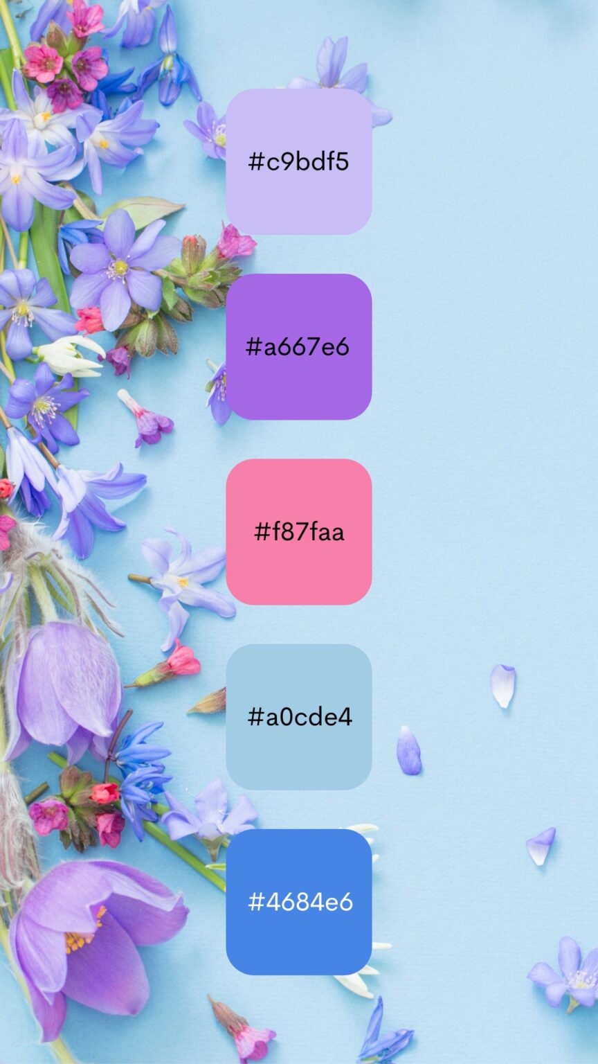 11 Stunning Inspirational Color Palettes - Ann Blogger