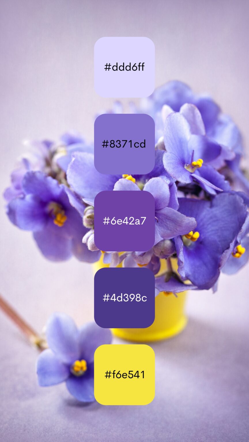 11 Stunning Inspirational Color Palettes - Ann Blogger