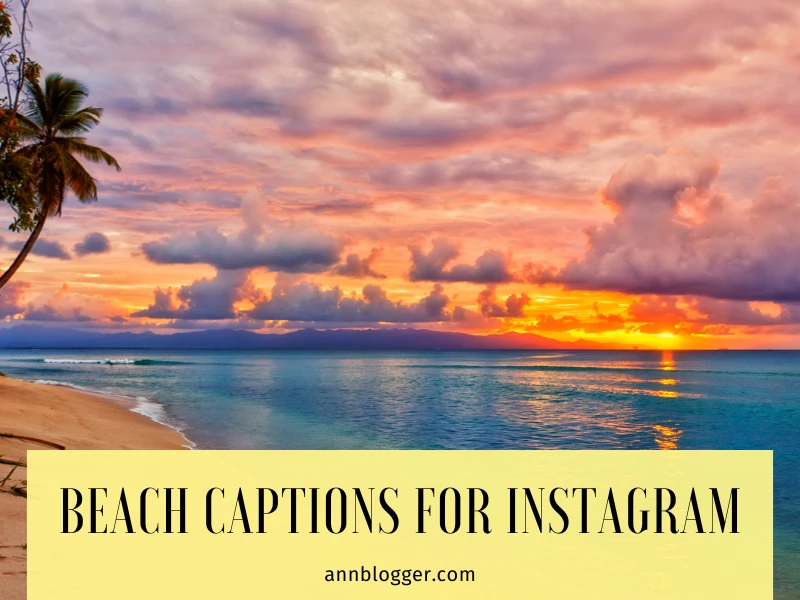 250 Best Beach Captions For Instagram Ann Blogger 250 Best Beach Captions For Instagram Ann Blogger