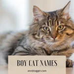 120 Rare Short Girl Baby Names That Feel Unique & Powerful - Ann Blogger